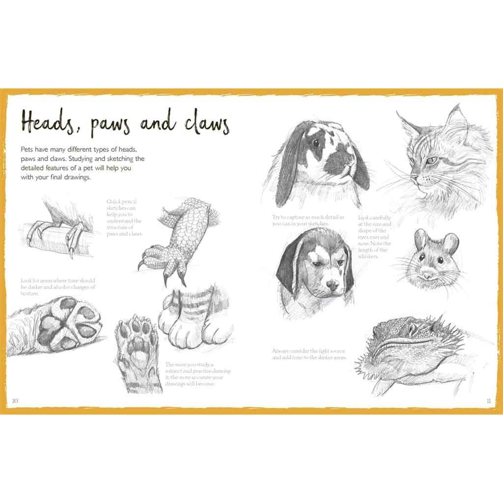 How To Draw Pets | Nexus vefverslun